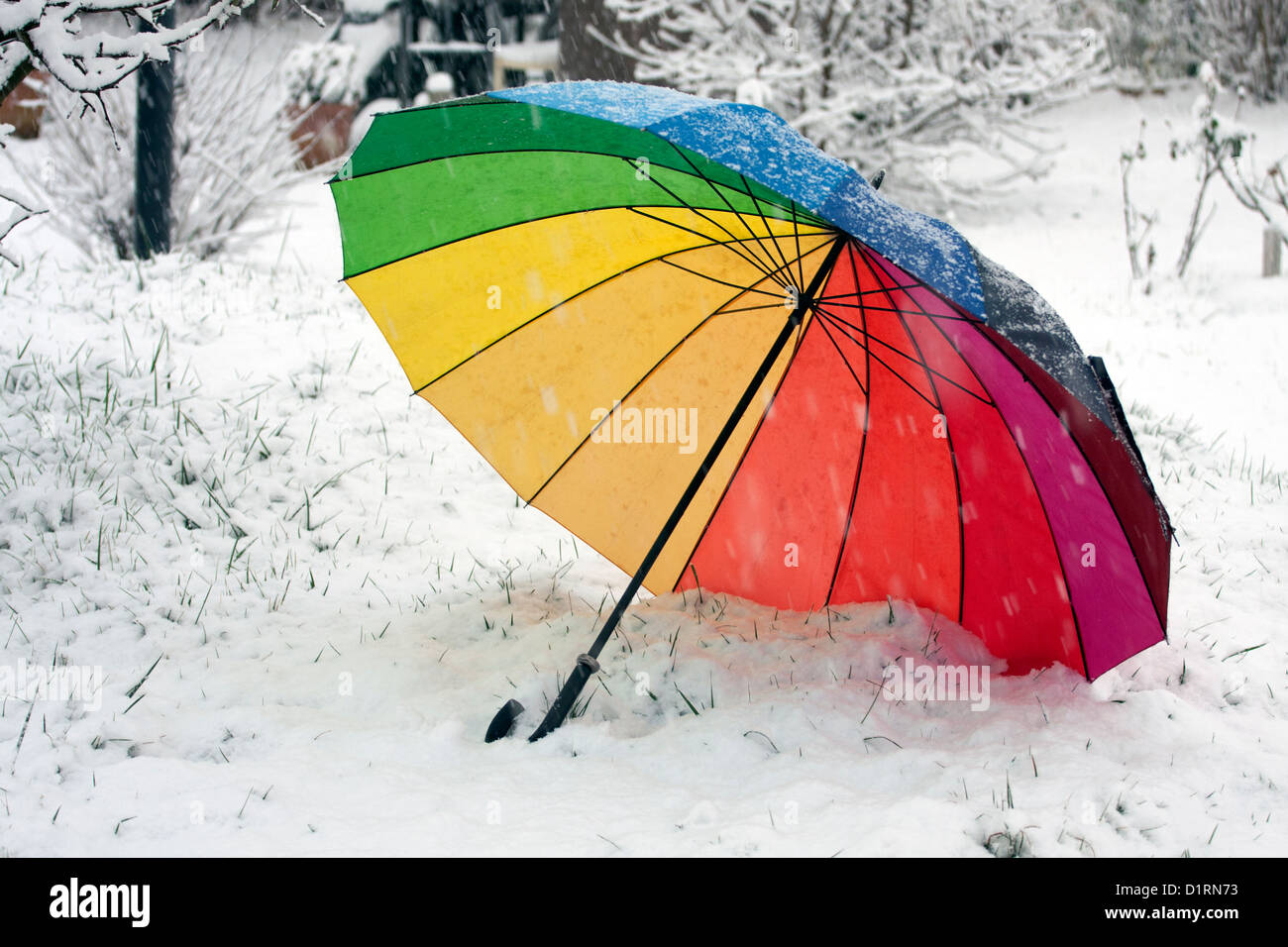 Colorful umbrella in the fresh snow Stock Photo - Alamy