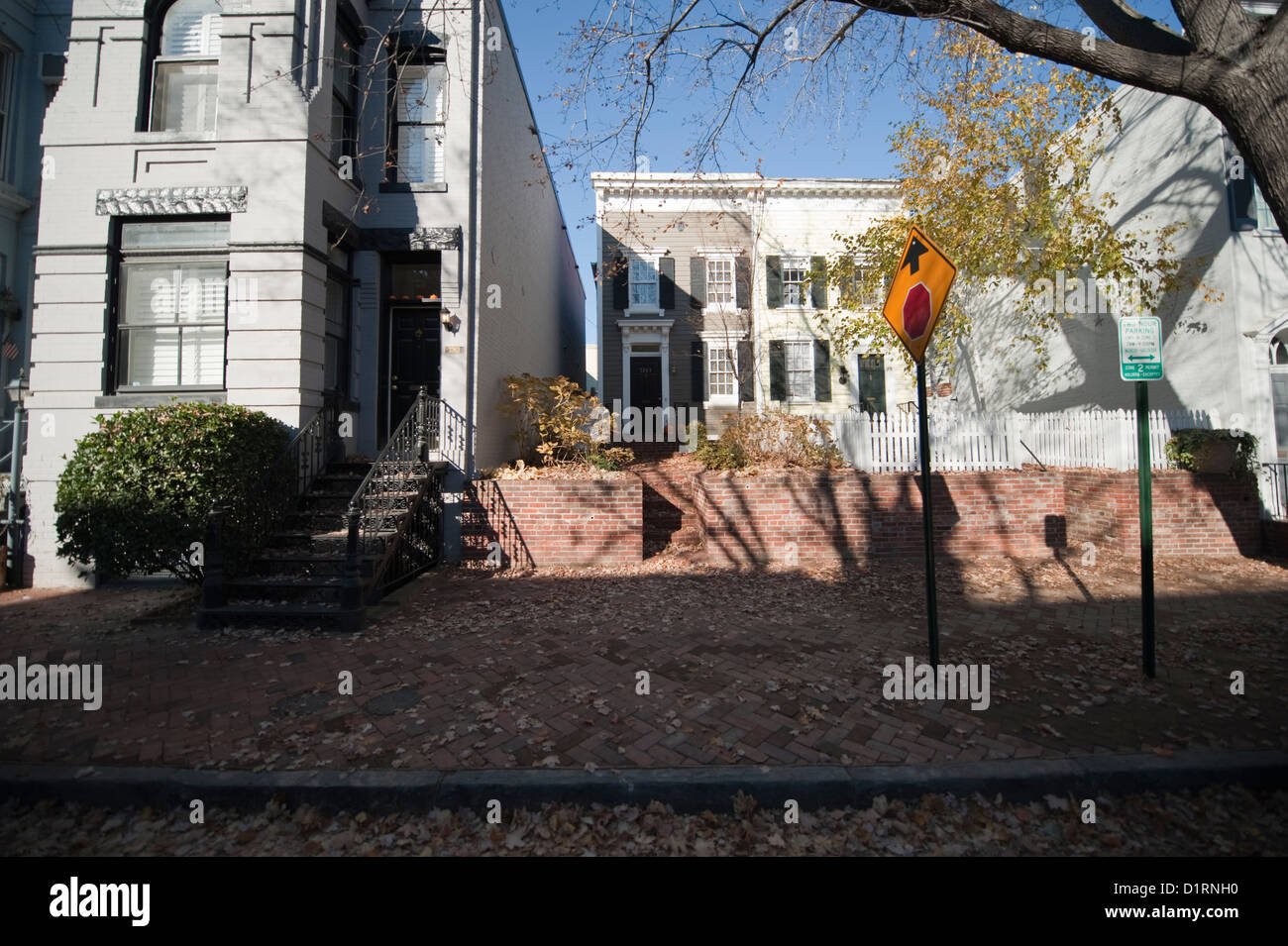Leafy street of old houses in the historic district of Georgetown in ...