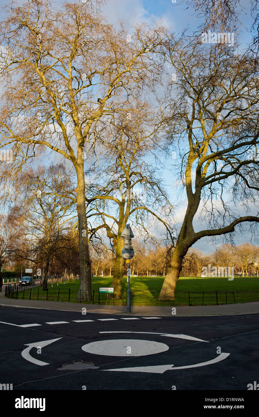 A roundabout with trees bathed in golden afternoon sun.. New Years day ...