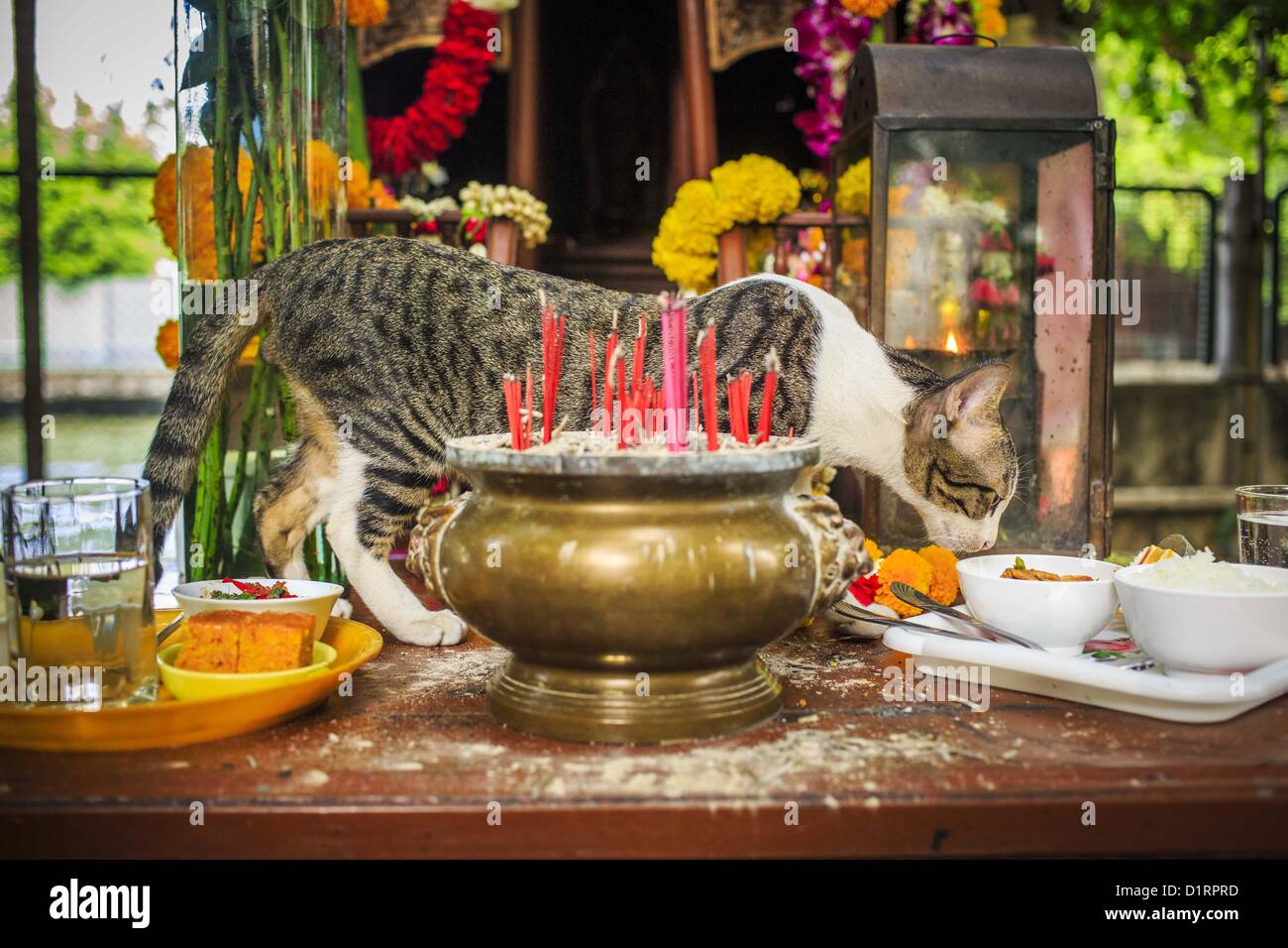 Female phallus hi-res stock photography and images - Alamy