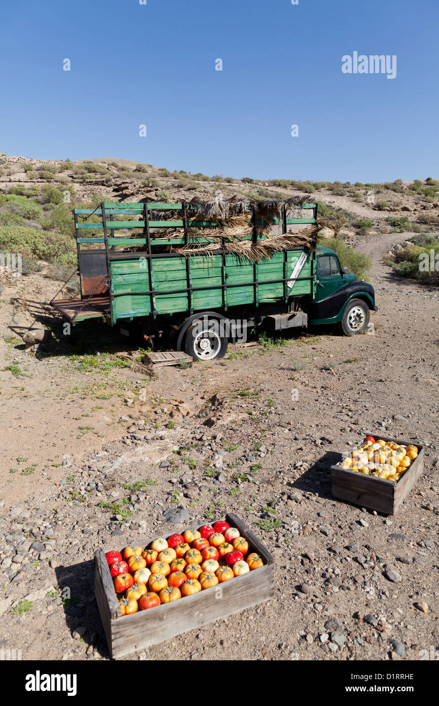 Abandoned lorry hi-res stock photography and images - Alamy