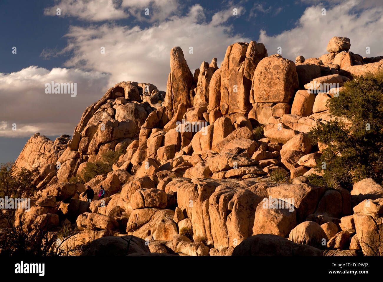 rock formation at Hidden Valley, Joshua Tree National Park, California ...