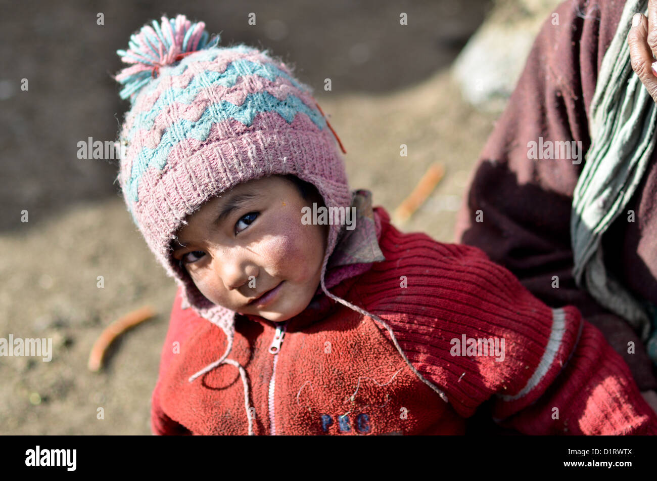 Ladakhi yak hi-res stock photography and images - Alamy