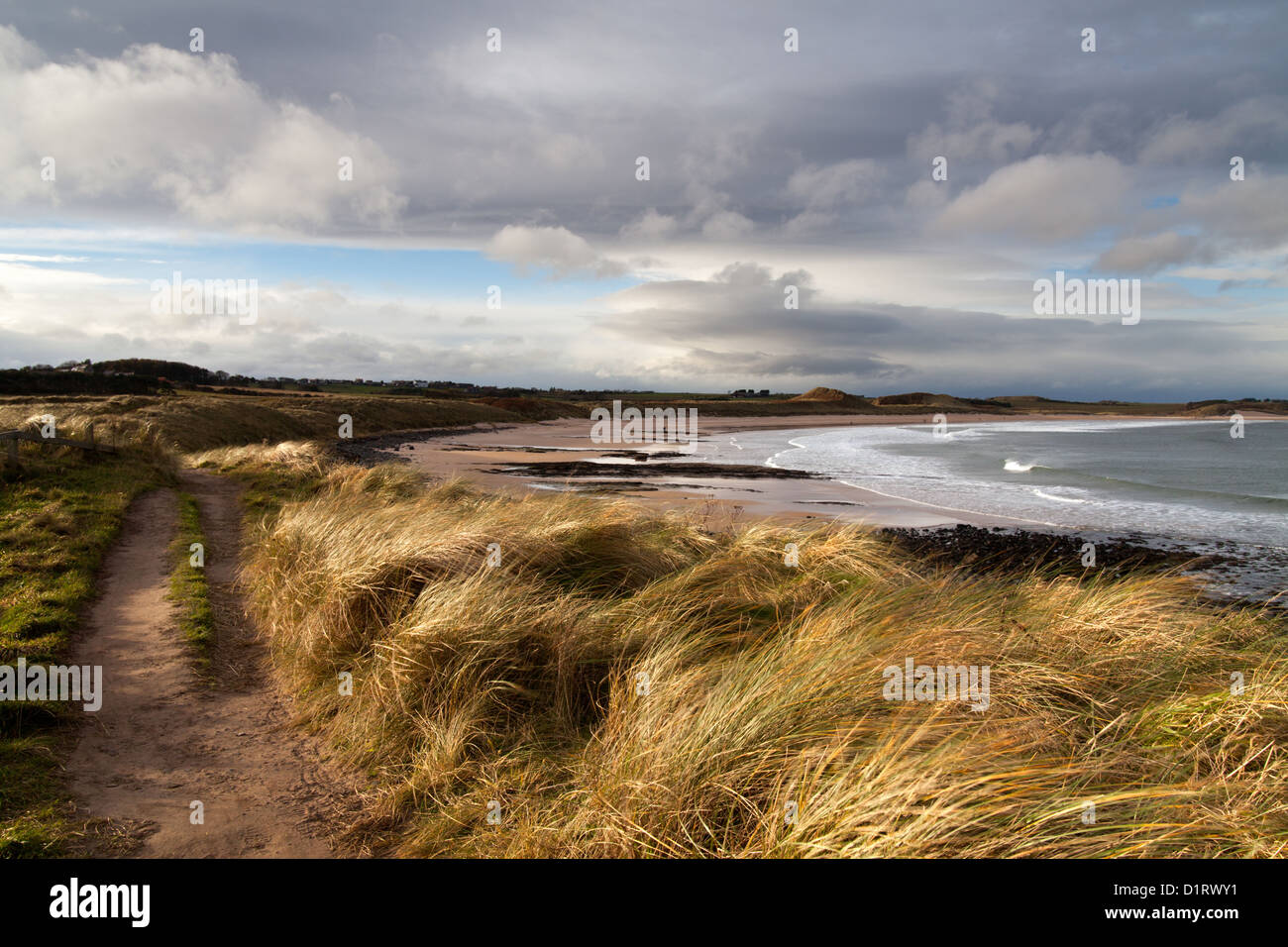 Embleton Bay dunes Stock Photo - Alamy