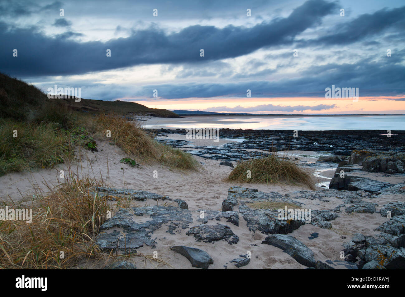 Budle bay northumberland hi-res stock photography and images - Alamy