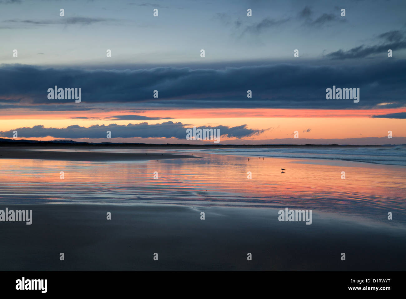 Budle Bay High Resolution Stock Photography and Images - Alamy