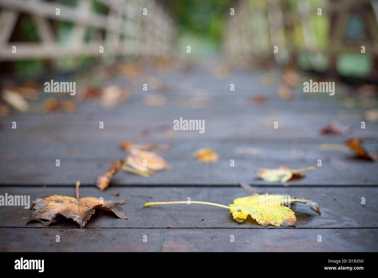 Fallen bridge hi-res stock photography and images - Alamy