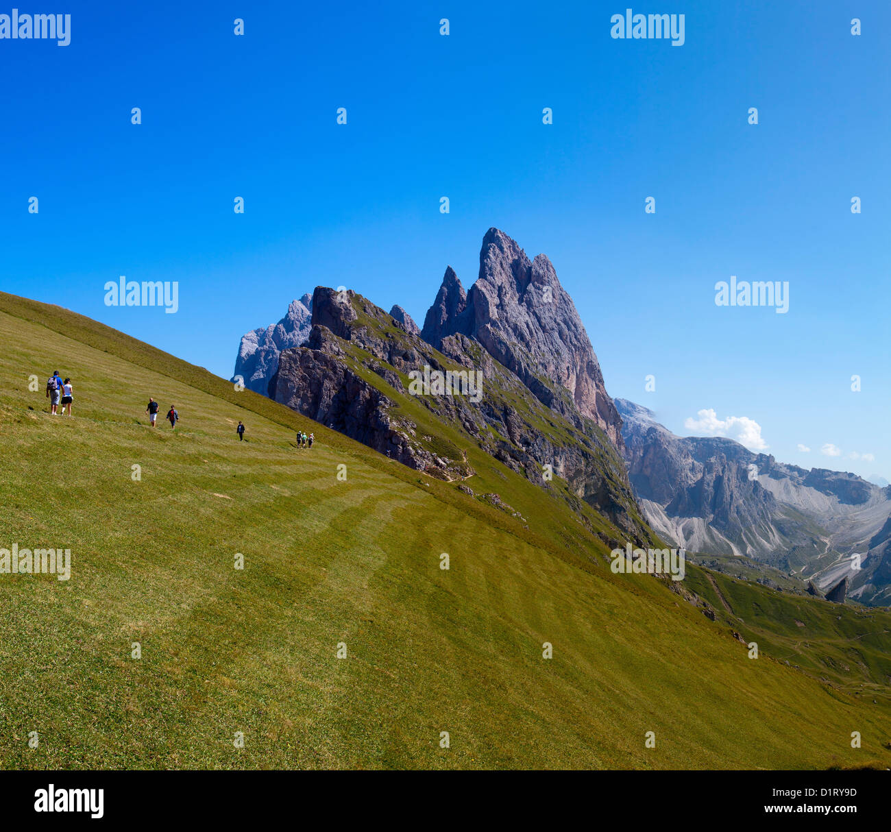 Pastures under Mount Seceda and the Fermeda towers, National Park Puez ...