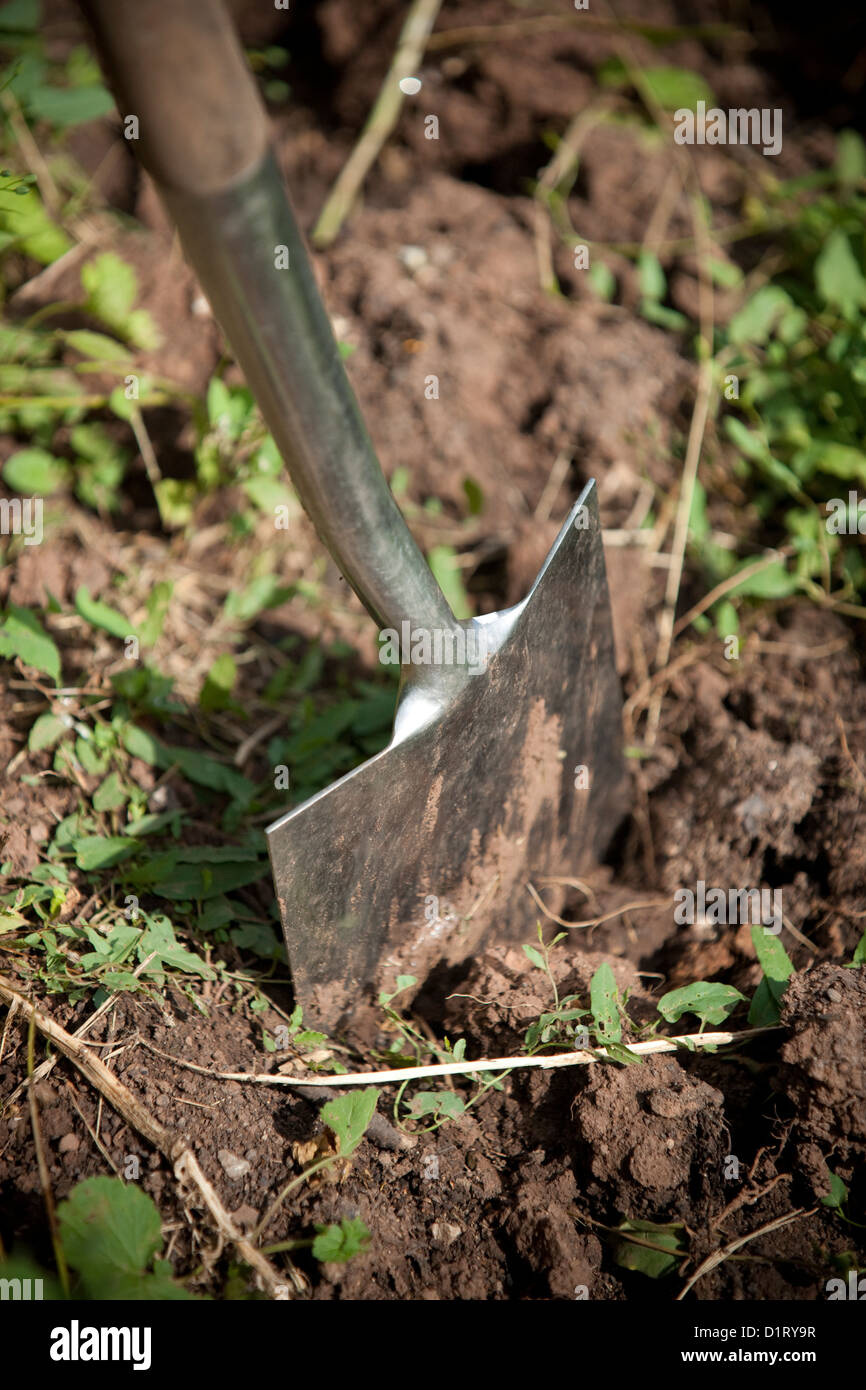 Metal and Wood Gardening Spade in Soil Stock Photo - Alamy