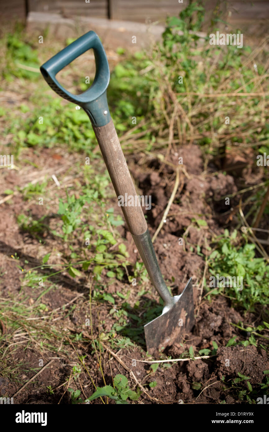 Metal and Wood Gardening Spade in Soil Stock Photo - Alamy