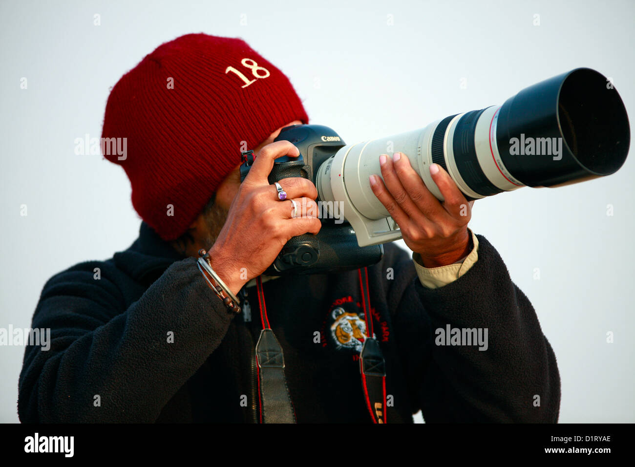 Wildlife camera operator hi-res stock photography and images - Alamy