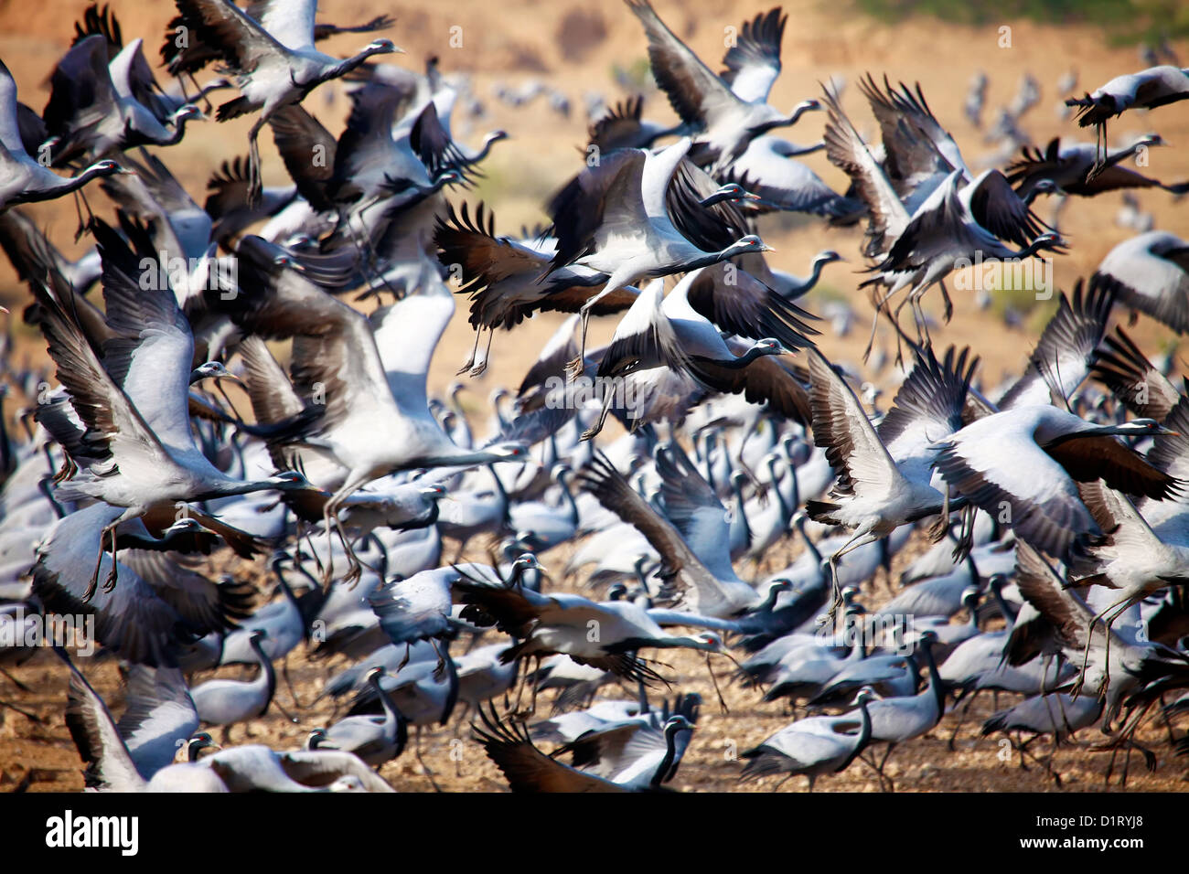 Landing touching down hi-res stock photography and images - Alamy