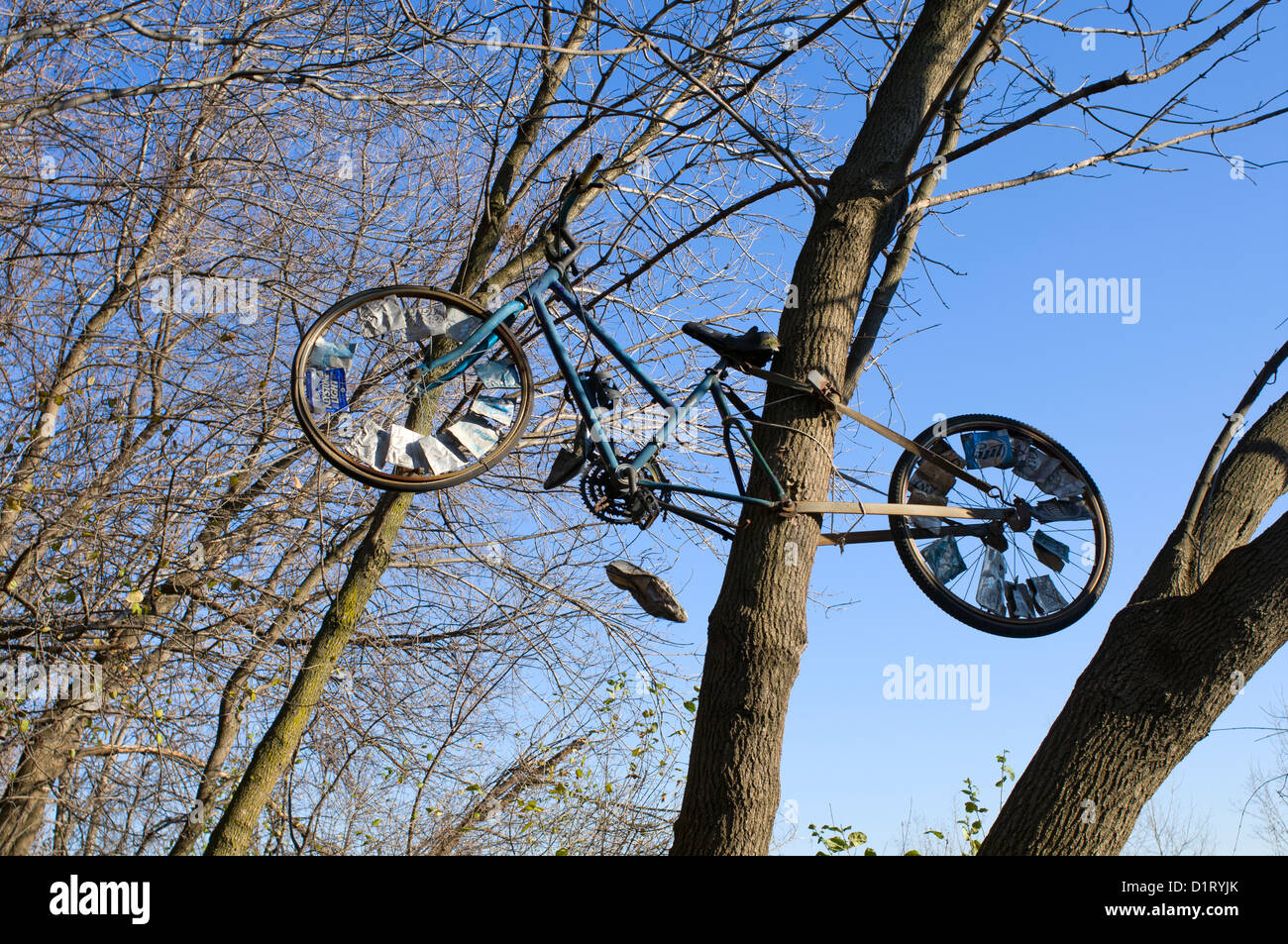 Bicycle attached to tree trunk in woods along urban trail Stock Photo ...