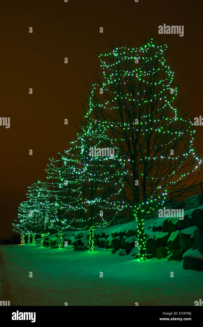 Holiday lights line trees hi-res stock photography and images - Alamy