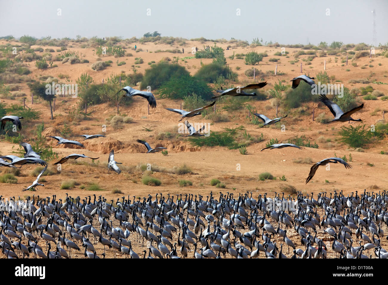 Taking off activity hi-res stock photography and images - Alamy