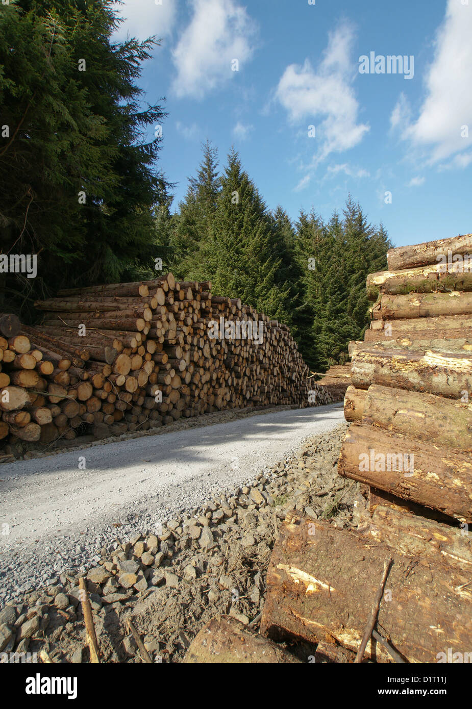 Pile of cut up logs hi-res stock photography and images - Alamy