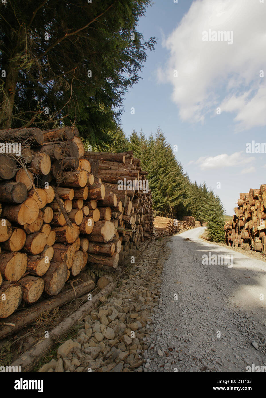 Logging camp and saw hi-res stock photography and images - Alamy