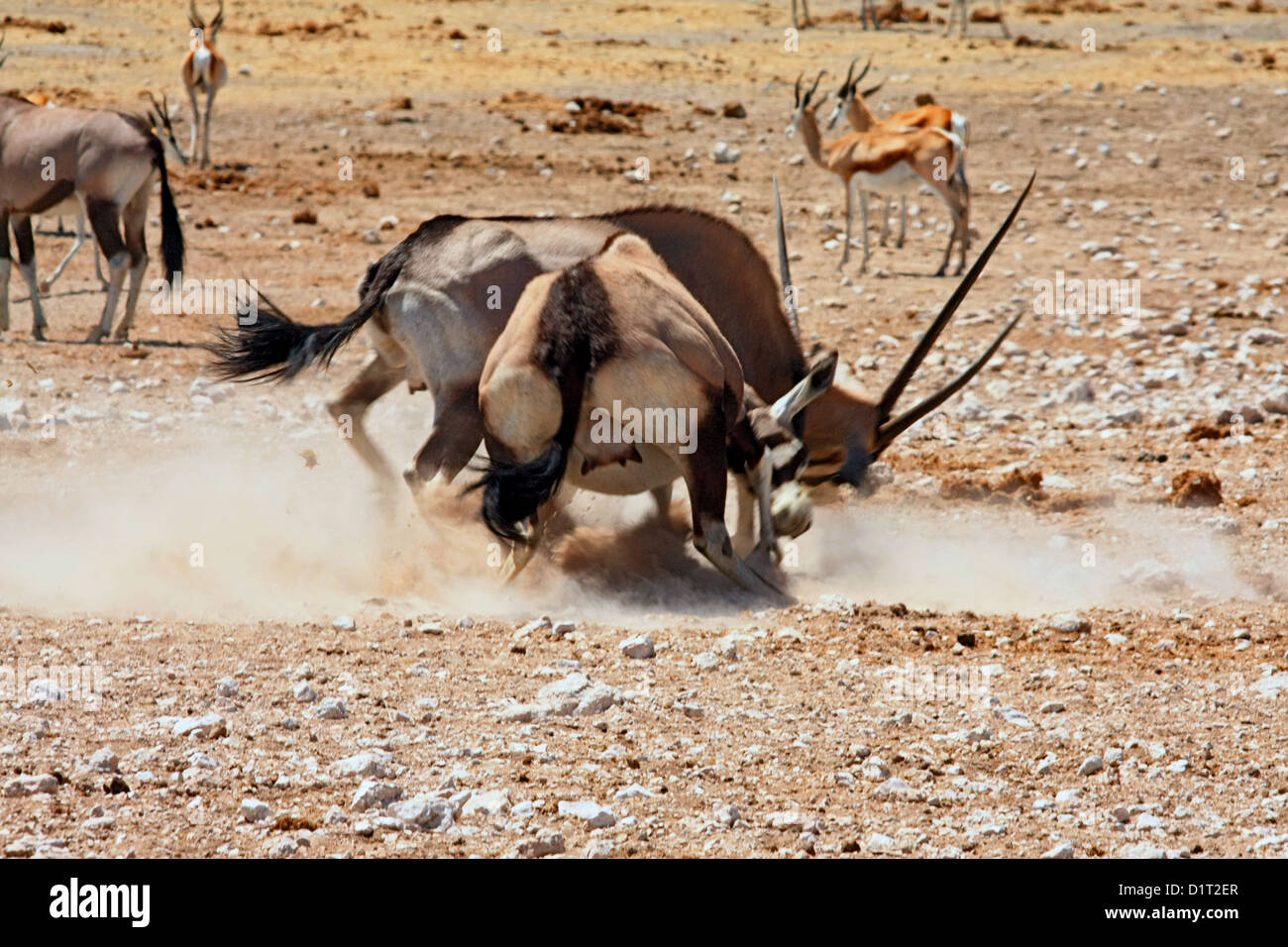 South Bank Park Lands High Resolution Stock Photography and Images - Alamy