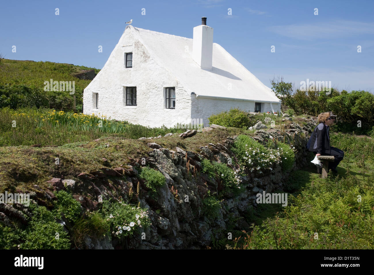 Welsh Nature Reserve High Resolution Stock Photography and Images - Alamy