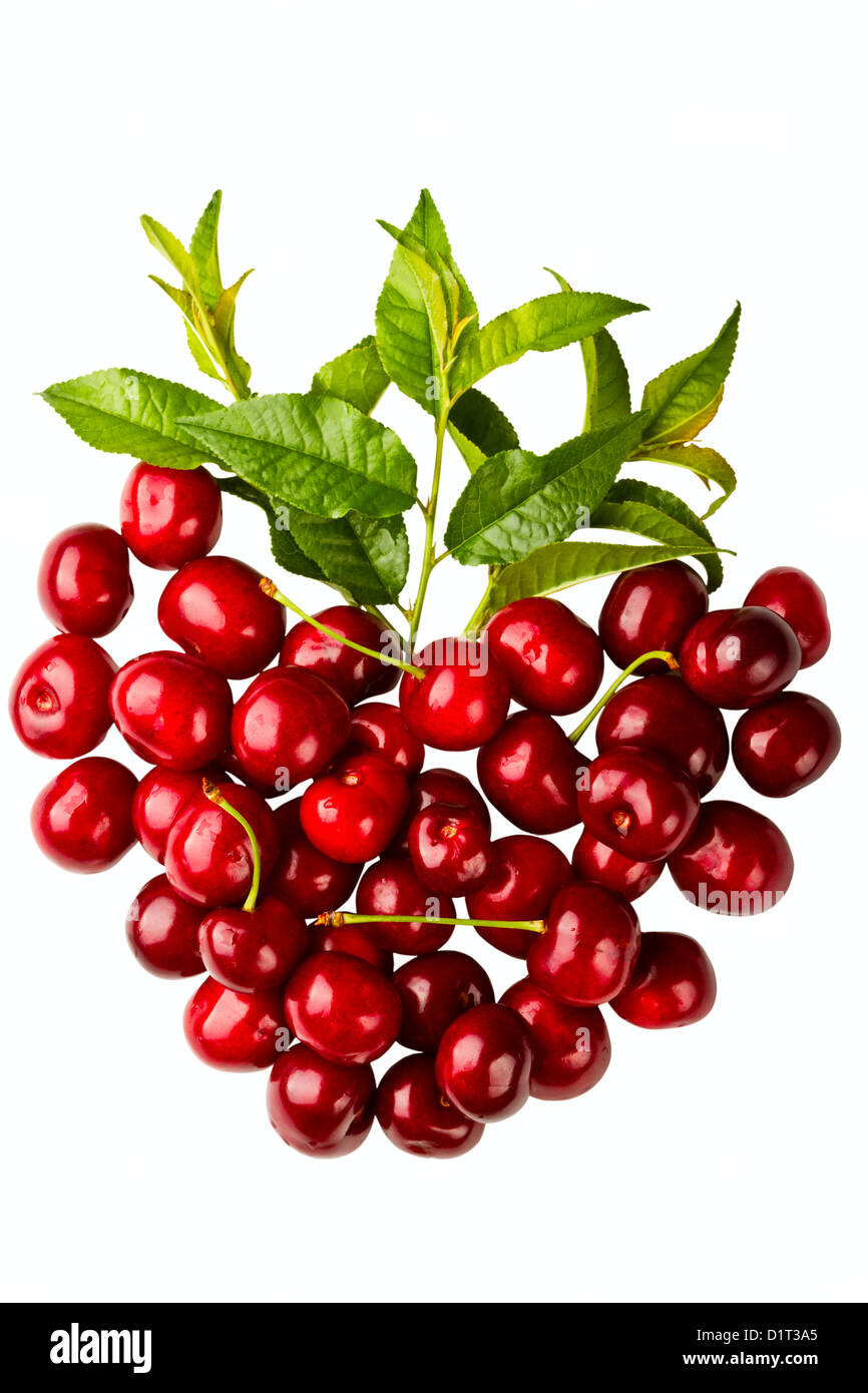 Sweet cherry fruits isolated on a white background Stock Photo - Alamy