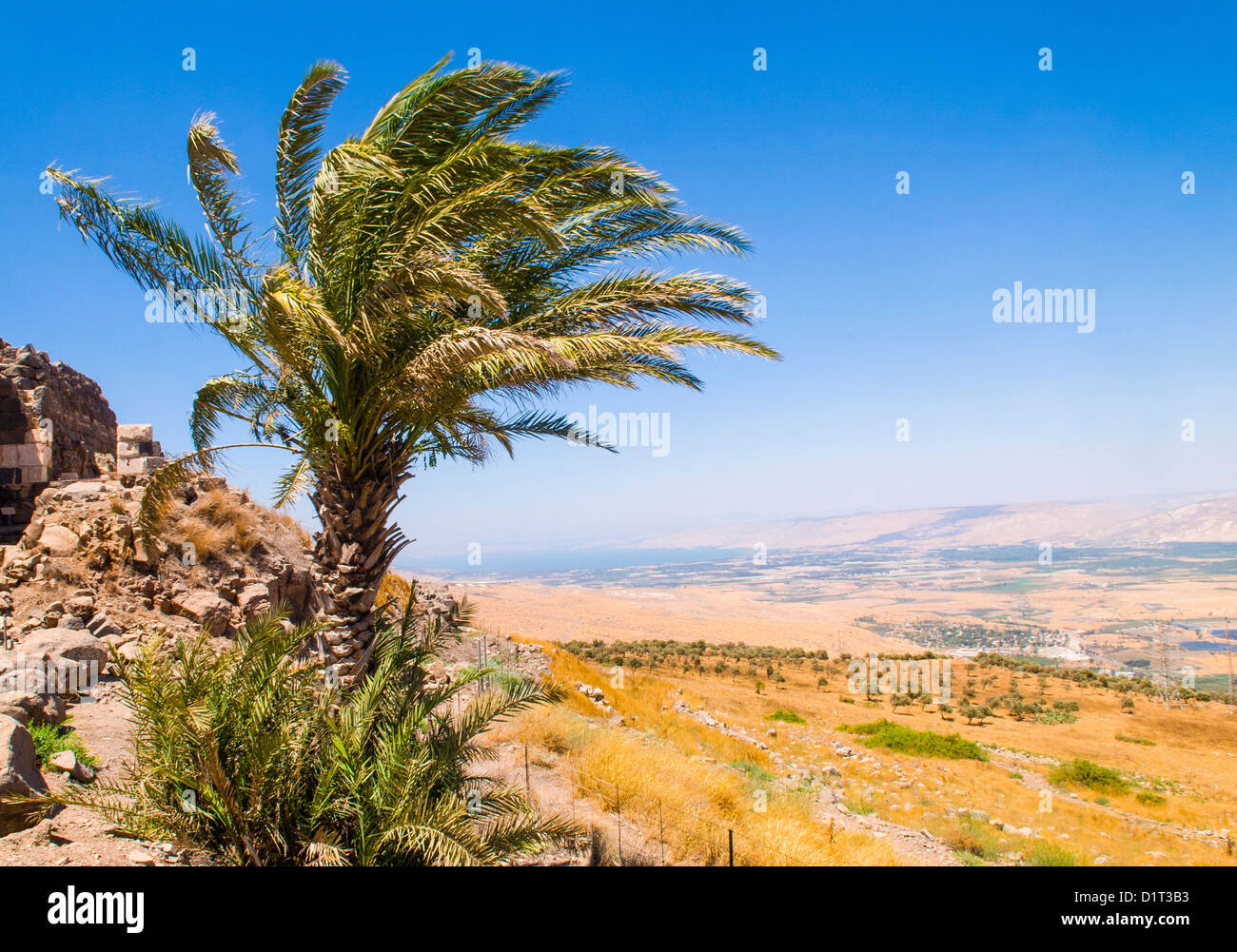 View To Jordan Valley From Ruins Of The Crusader Fortress Belvoir In ...