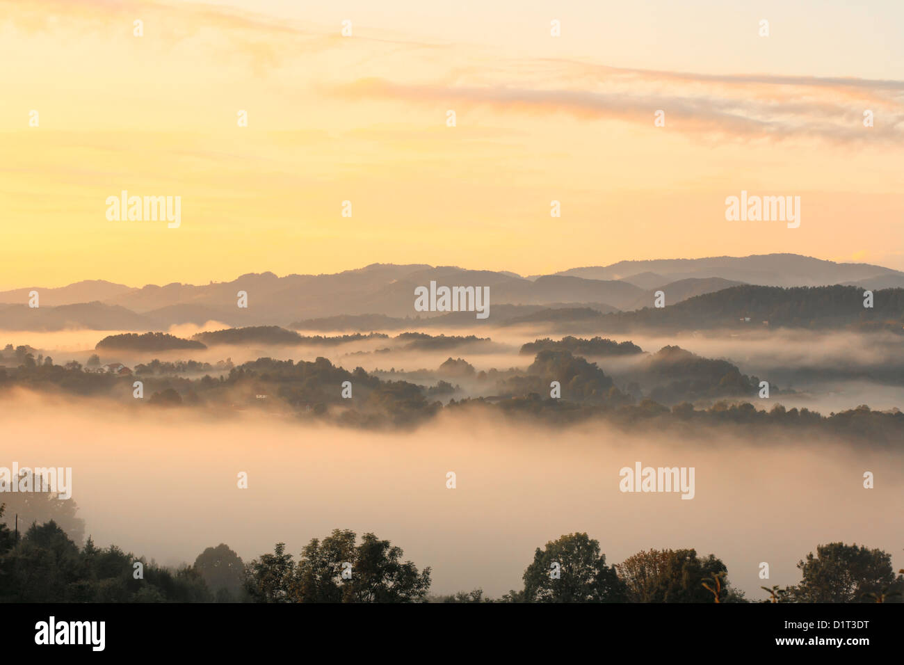 Nature landscape in the morning with fog Stock Photo - Alamy