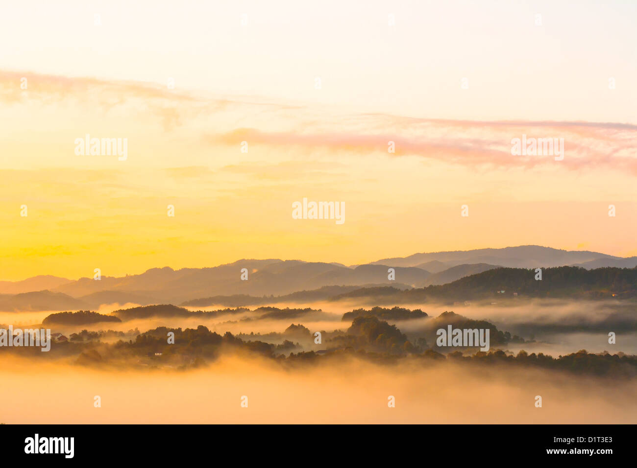 Nature landscape in the morning with fog Stock Photo - Alamy