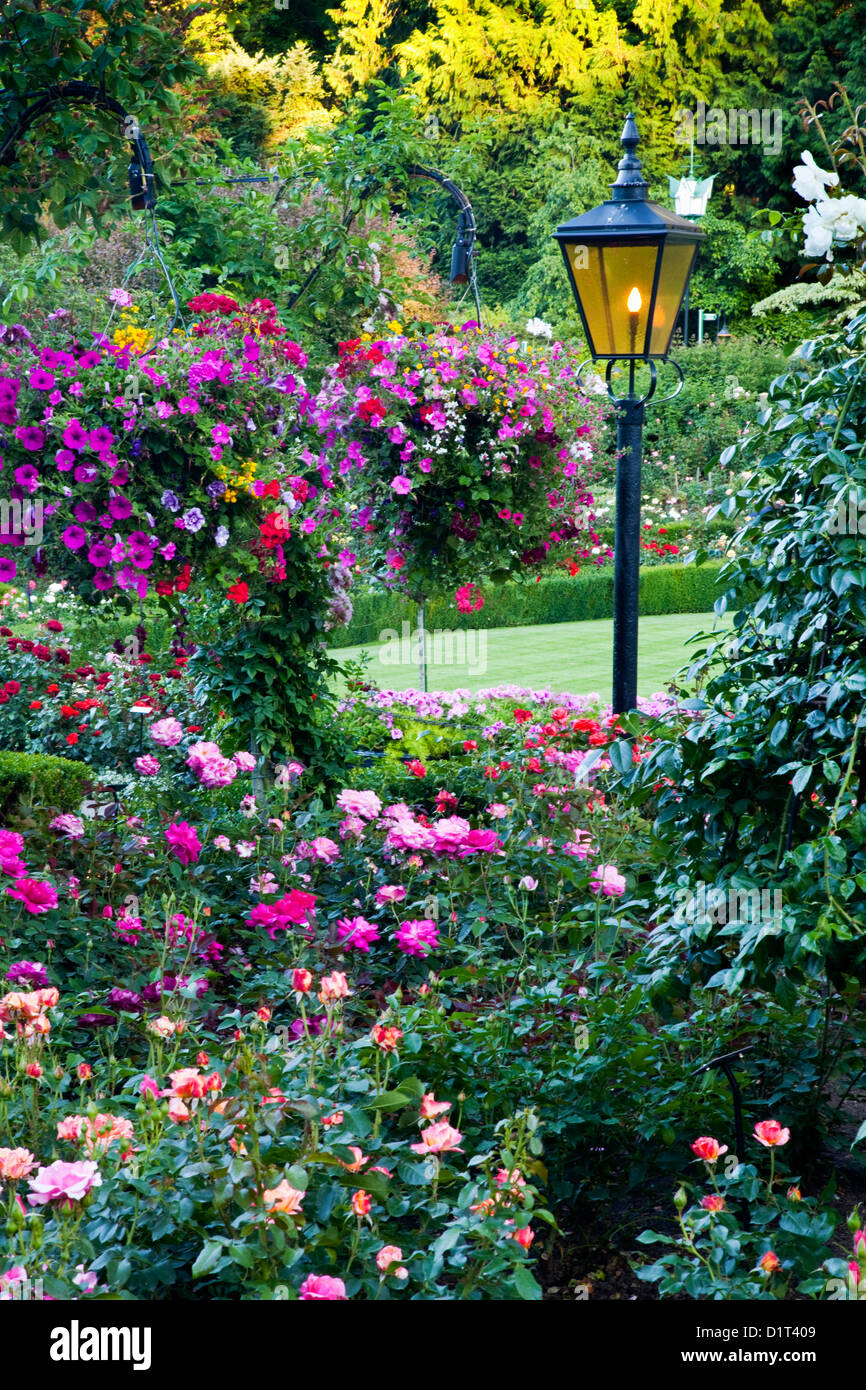 Rose Gardens In Victoria High Resolution Stock Photography and Images ...