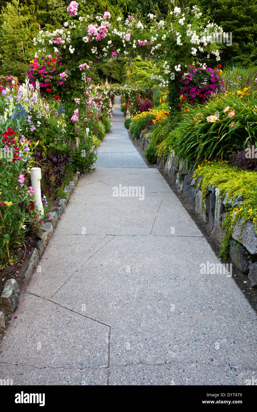 North America. Canada. BC. Victoria. Rose Garden at Butchard Gardens In ...