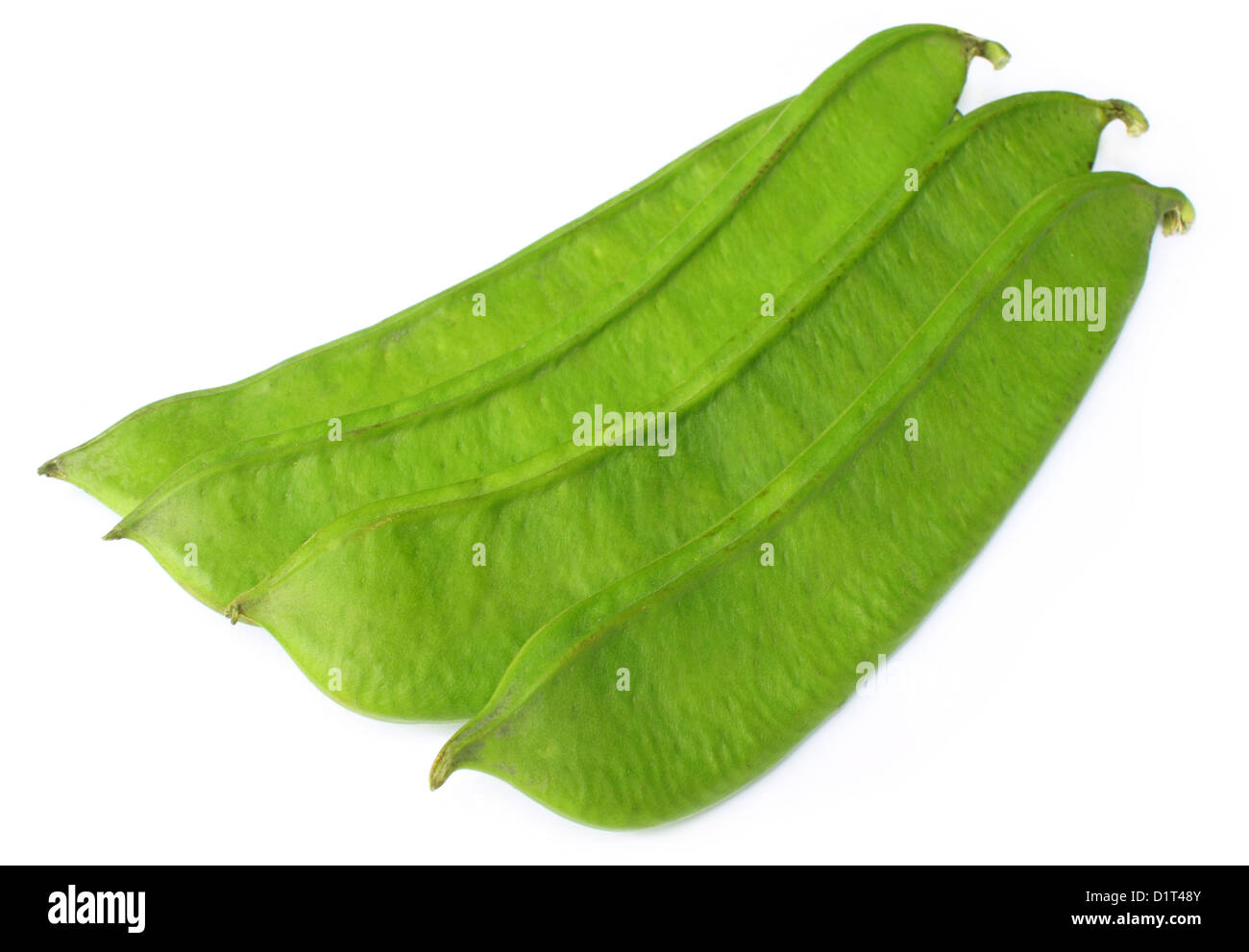 Indian vegetable yard hi-res stock photography and images - Alamy