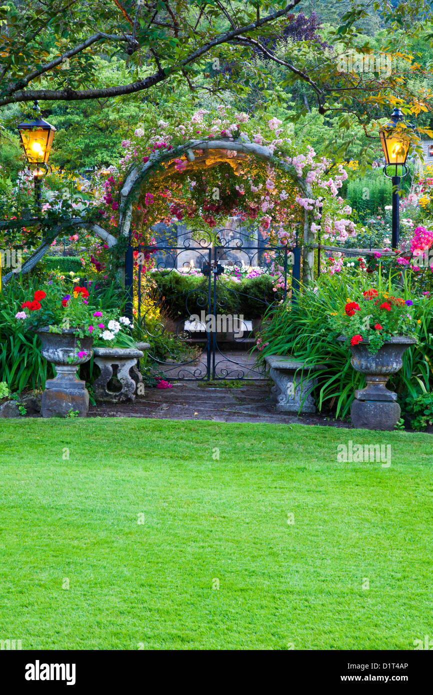 Victoria rose hi-res stock photography and images - Alamy