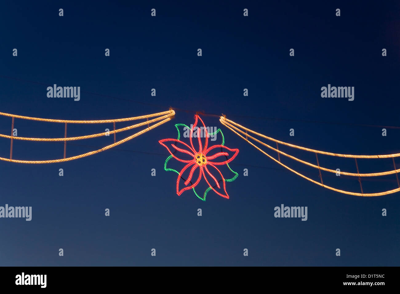 Illuminated flower shaped lights hi-res stock photography and images ...