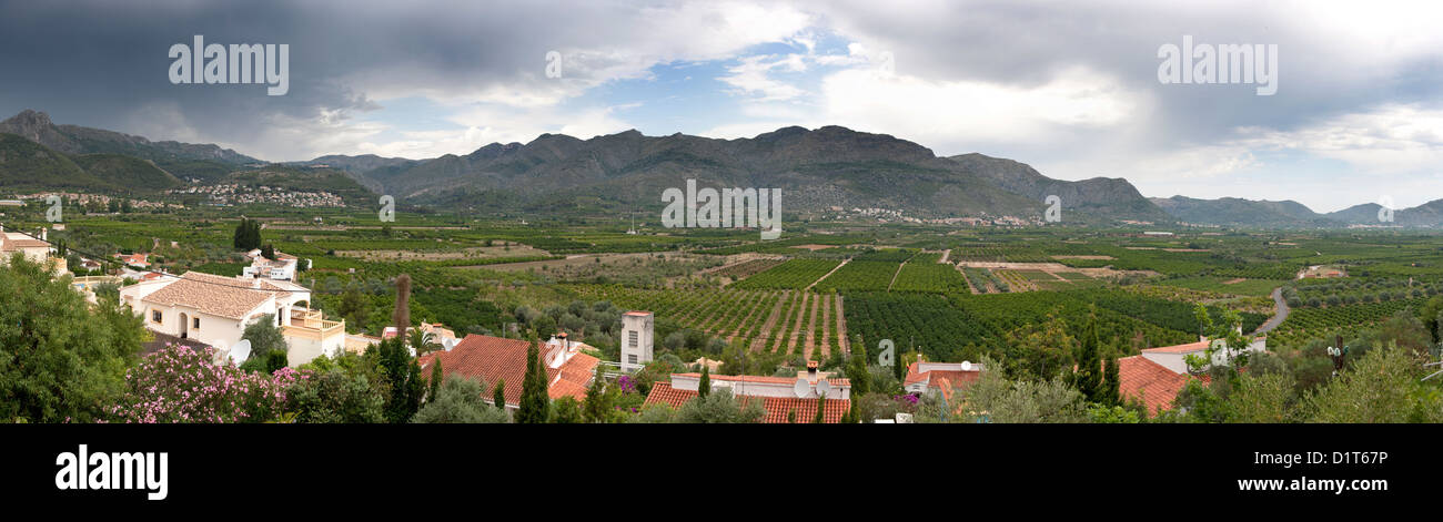 Orange groves spain hi-res stock photography and images - Alamy