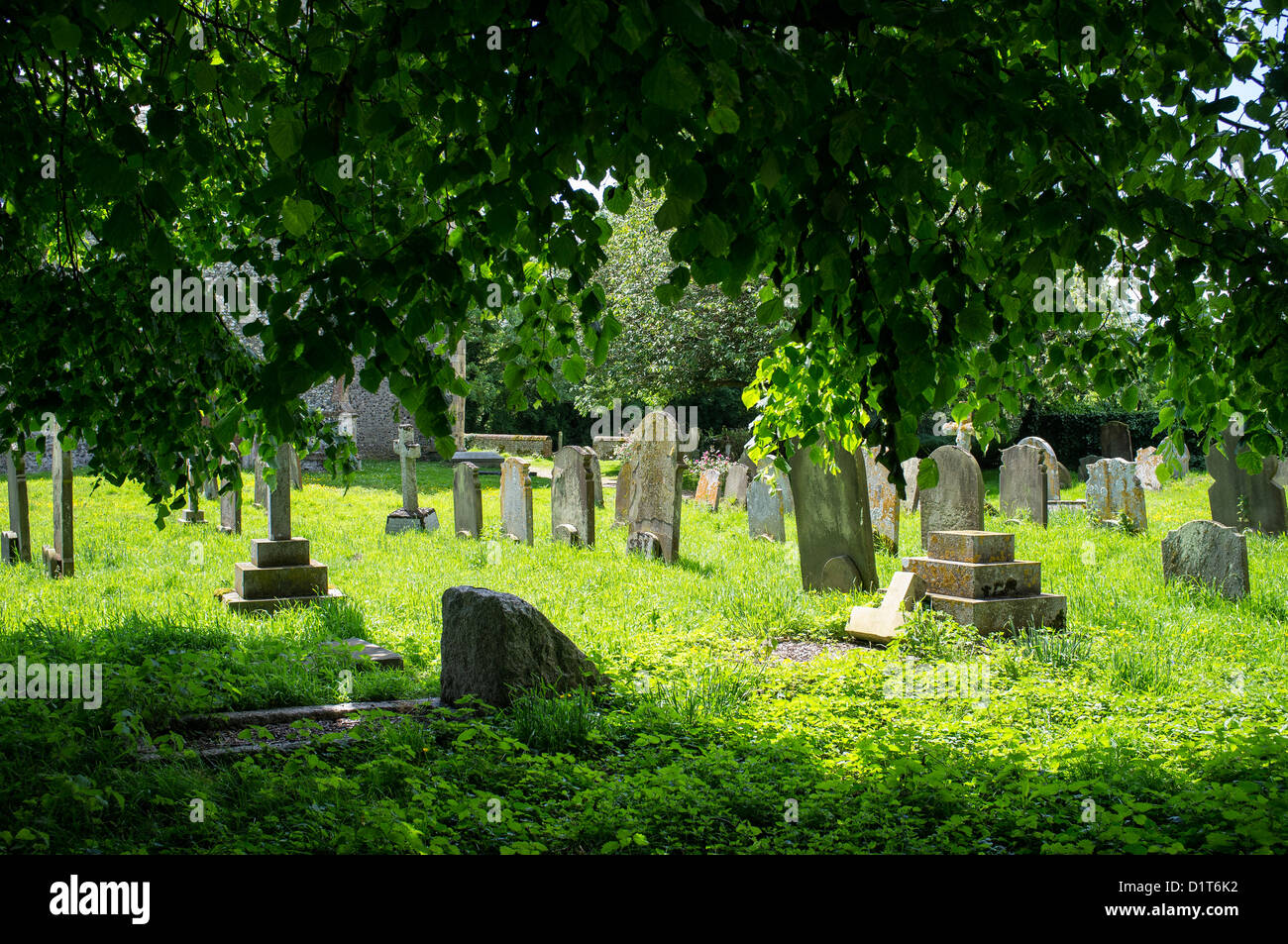 Catfield norfolk hi-res stock photography and images - Alamy