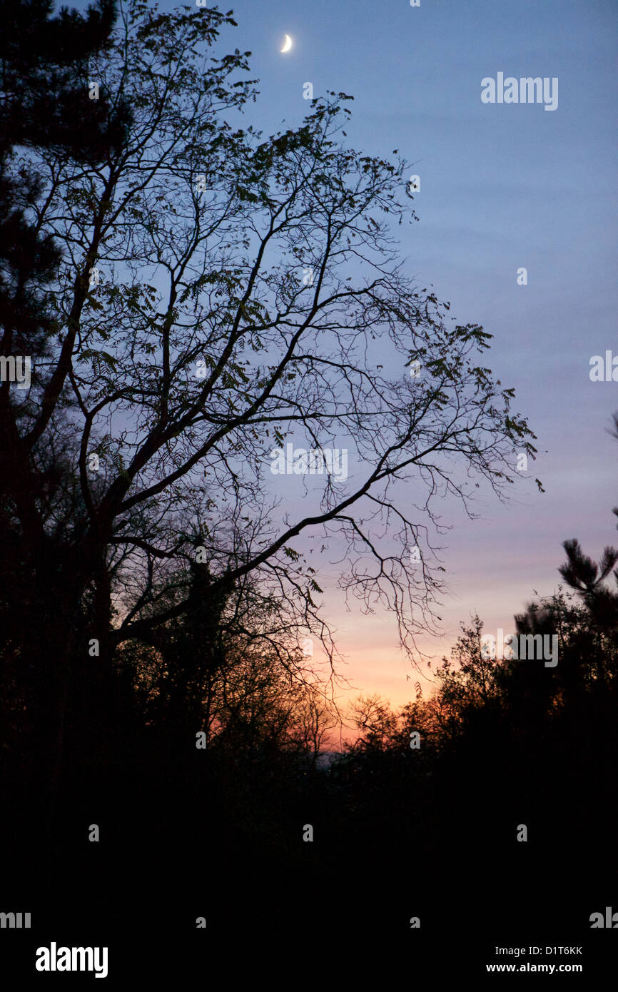 Sunset above London with Crescent moon Stock Photo - Alamy