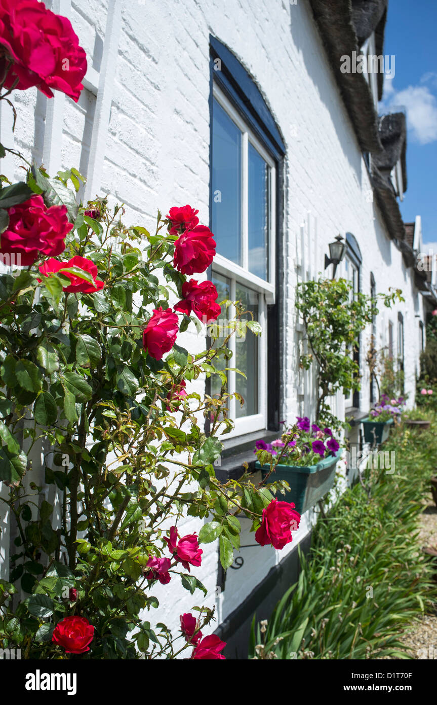 Red climbing roses hi-res stock photography and images - Alamy