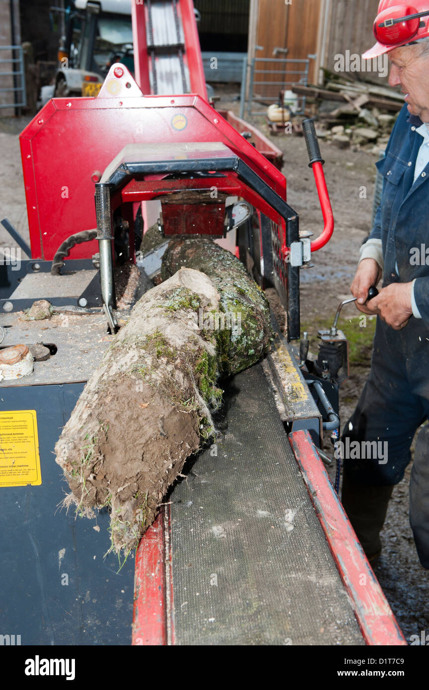 Forestry worker loading timber onto a logging and splitter bench Stock ...