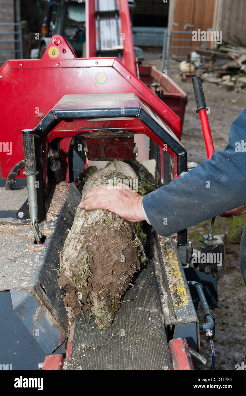 Forestry worker loading timber onto a logging and splitter bench Stock ...