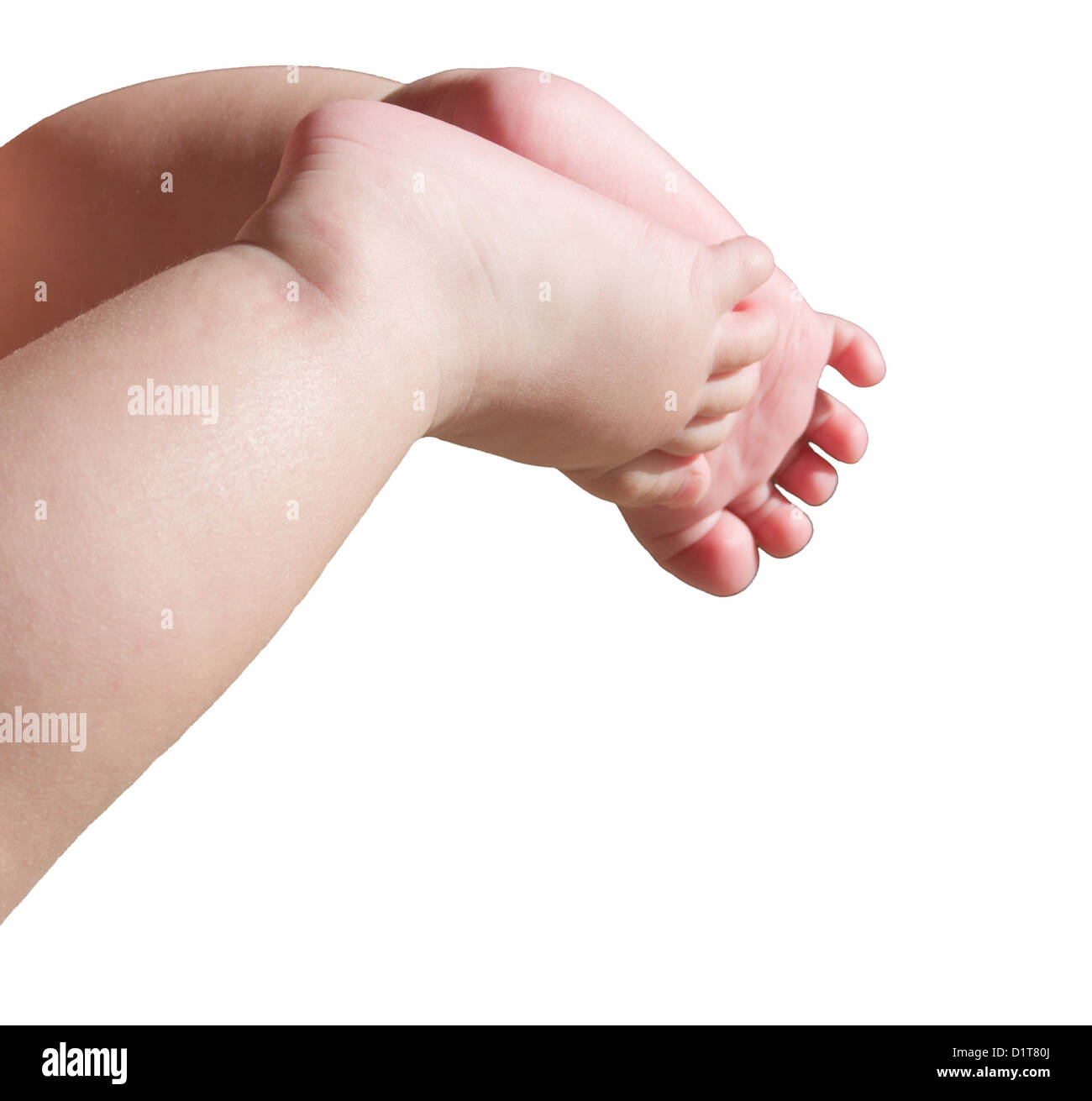 Tender baby's little feet Stock Photo - Alamy