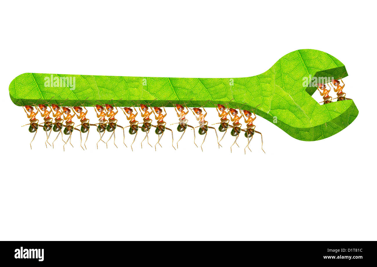 Ant team moving tools wrench Stock Photo - Alamy