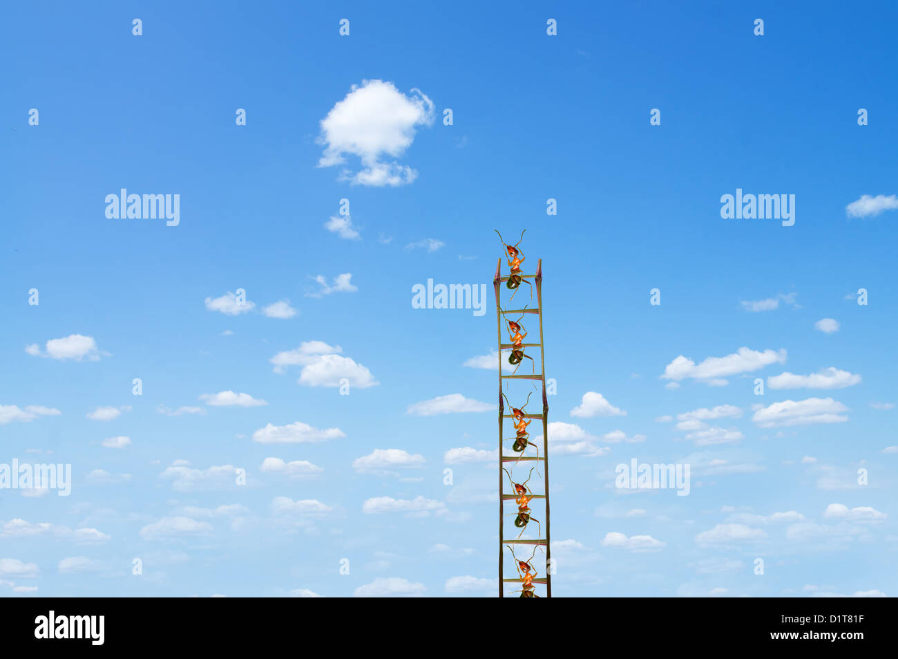 Ants climbing a ladder in the sky background Stock Photo - Alamy