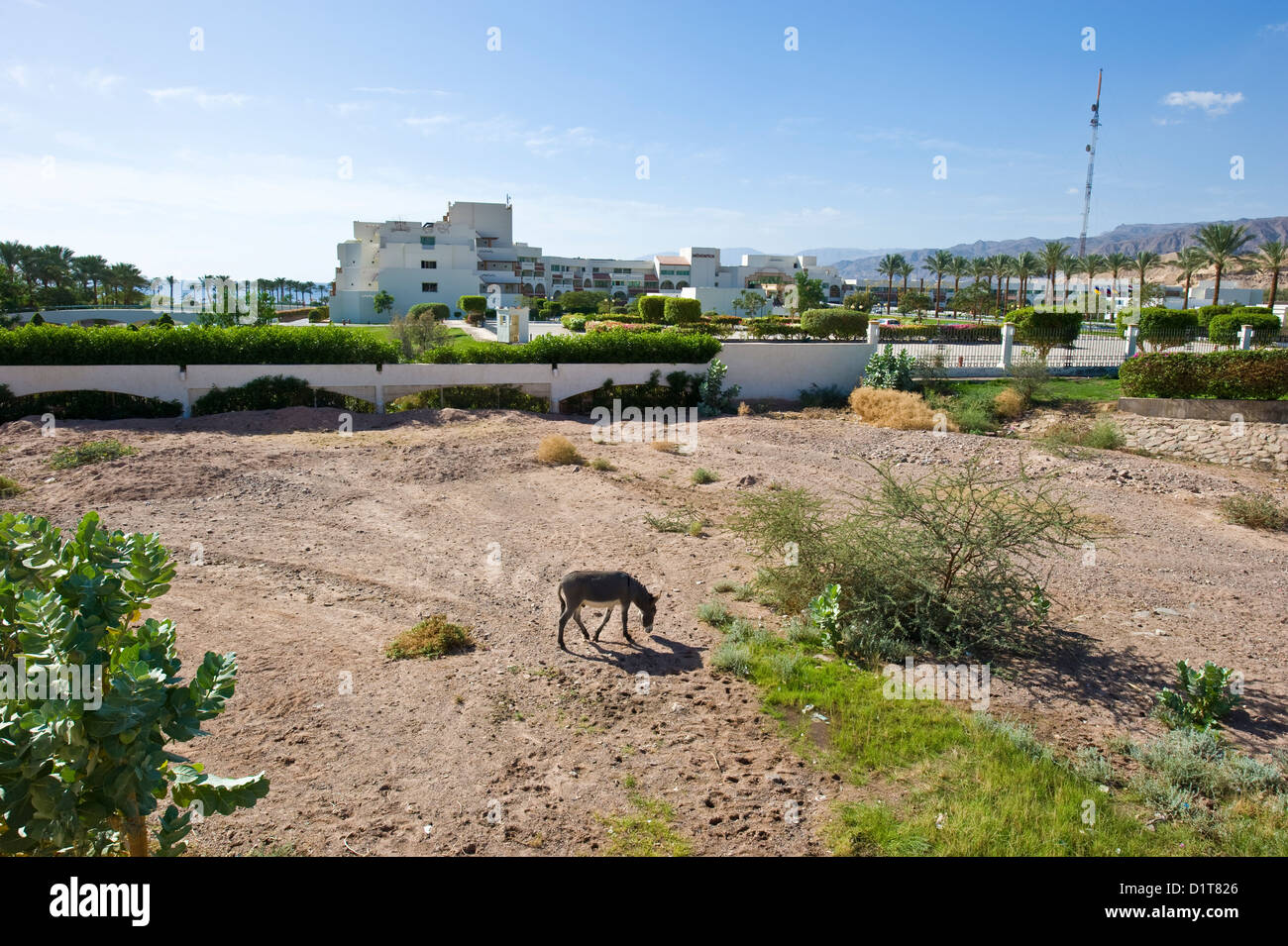 Taba on Aqaba Bay of the Red Sea Stock Photo - Alamy
