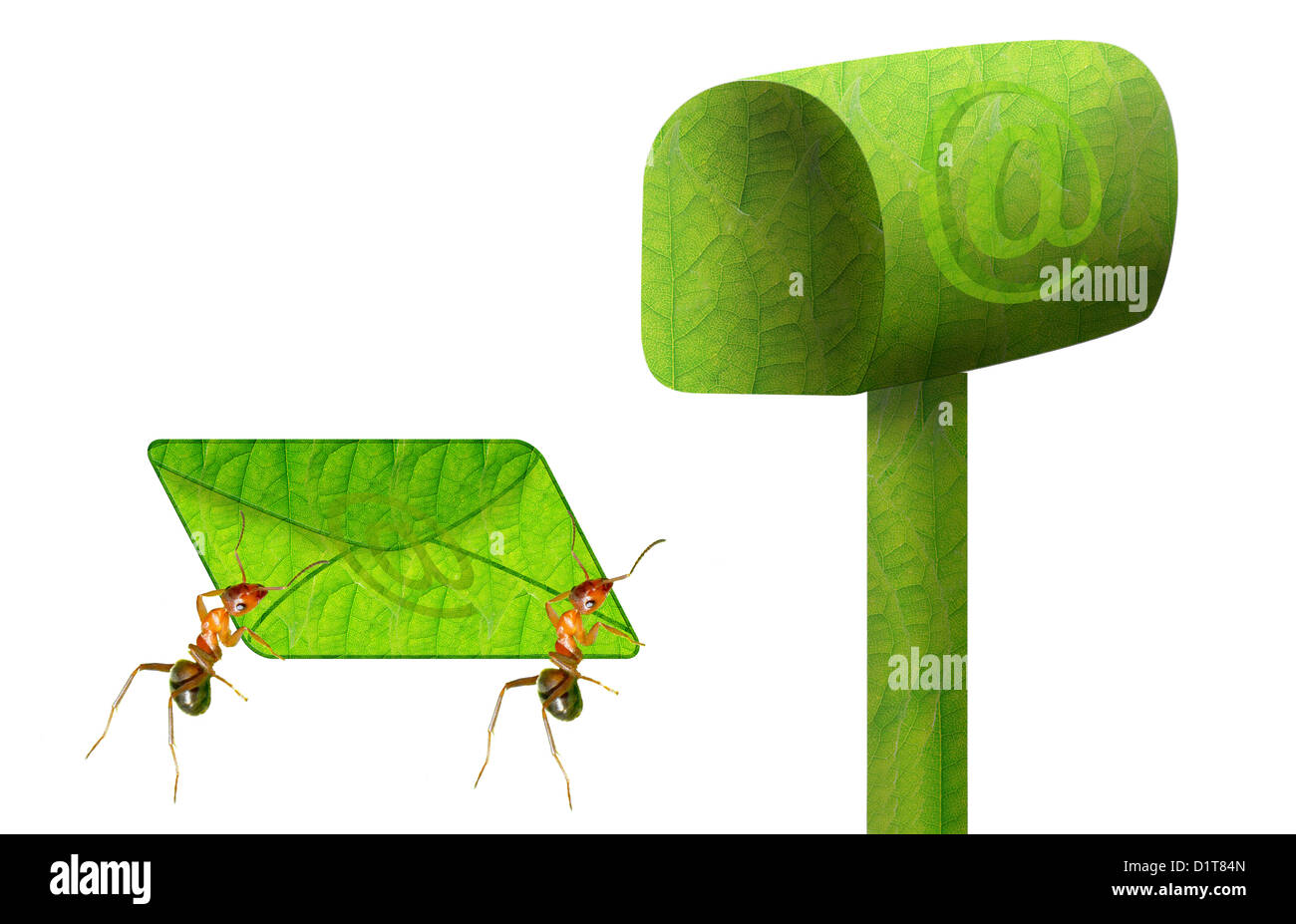 The two ants Postman incoming mail Stock Photo - Alamy
