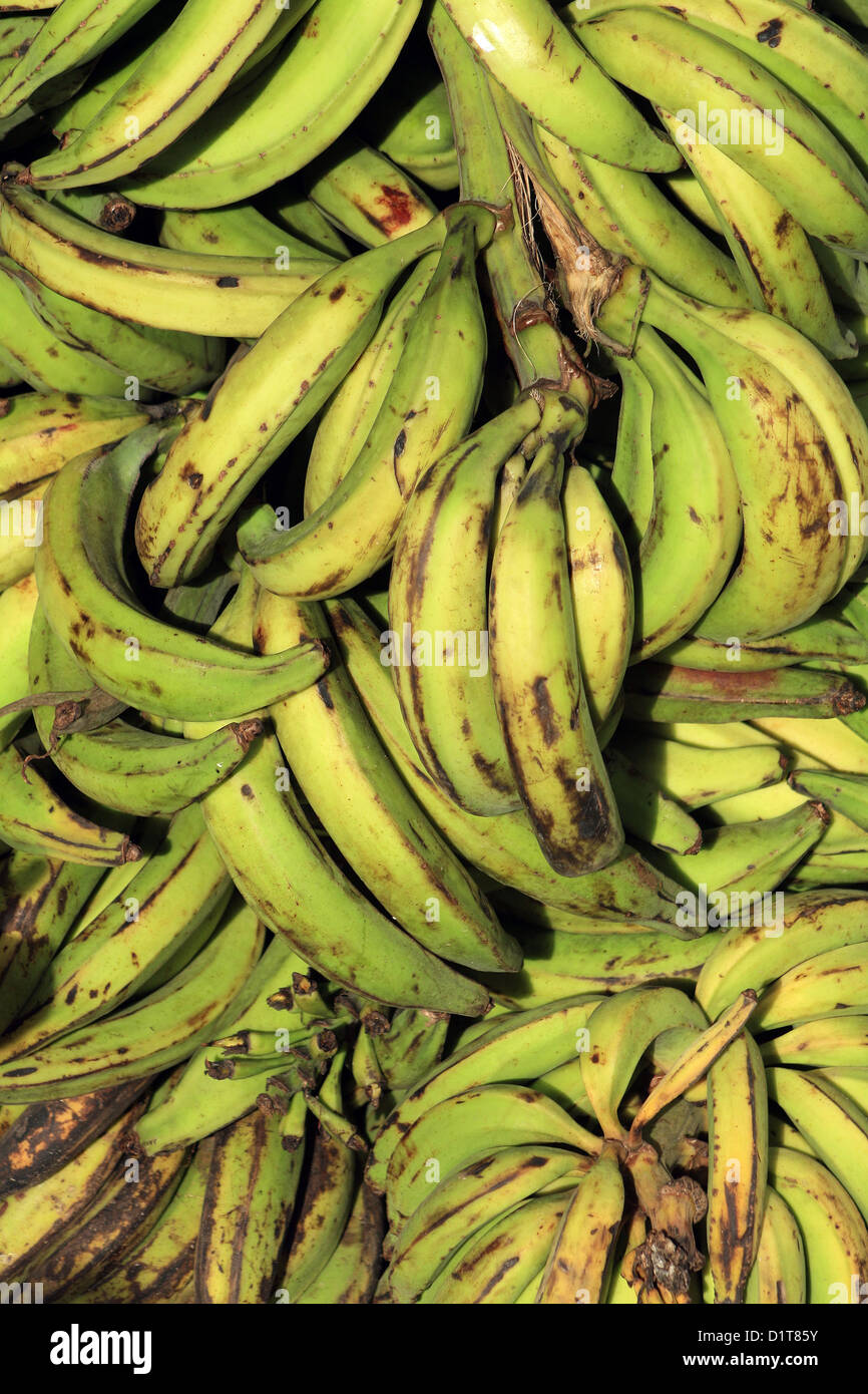 Freshly picked bundles of bananas for sale at the outdoor food market ...