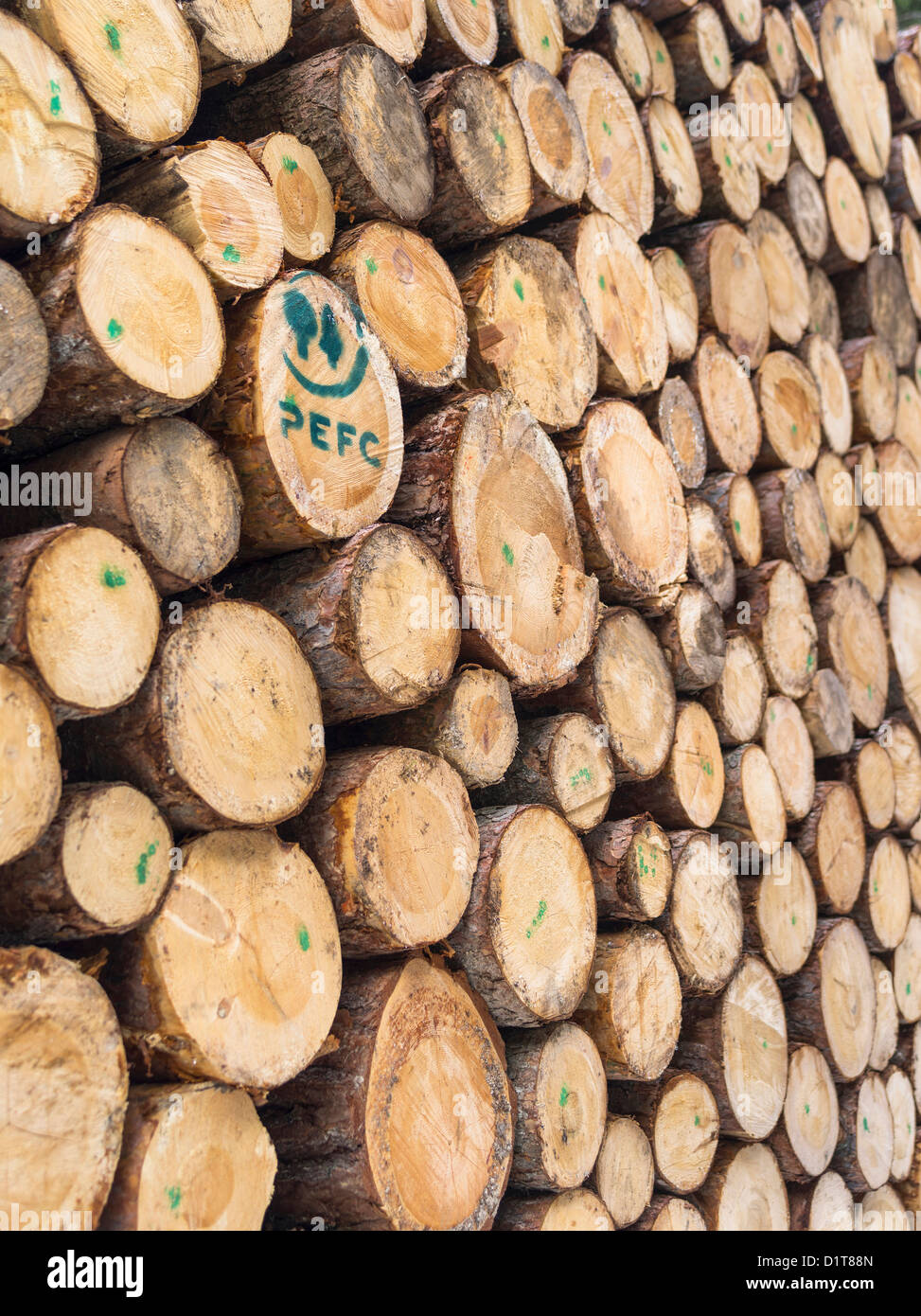 Logs harvested from sustainable forestry in the Dolomites near the ...