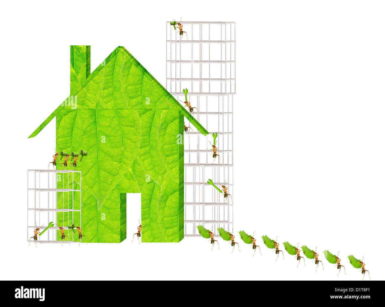 Red Ants are building houses Stock Photo - Alamy
