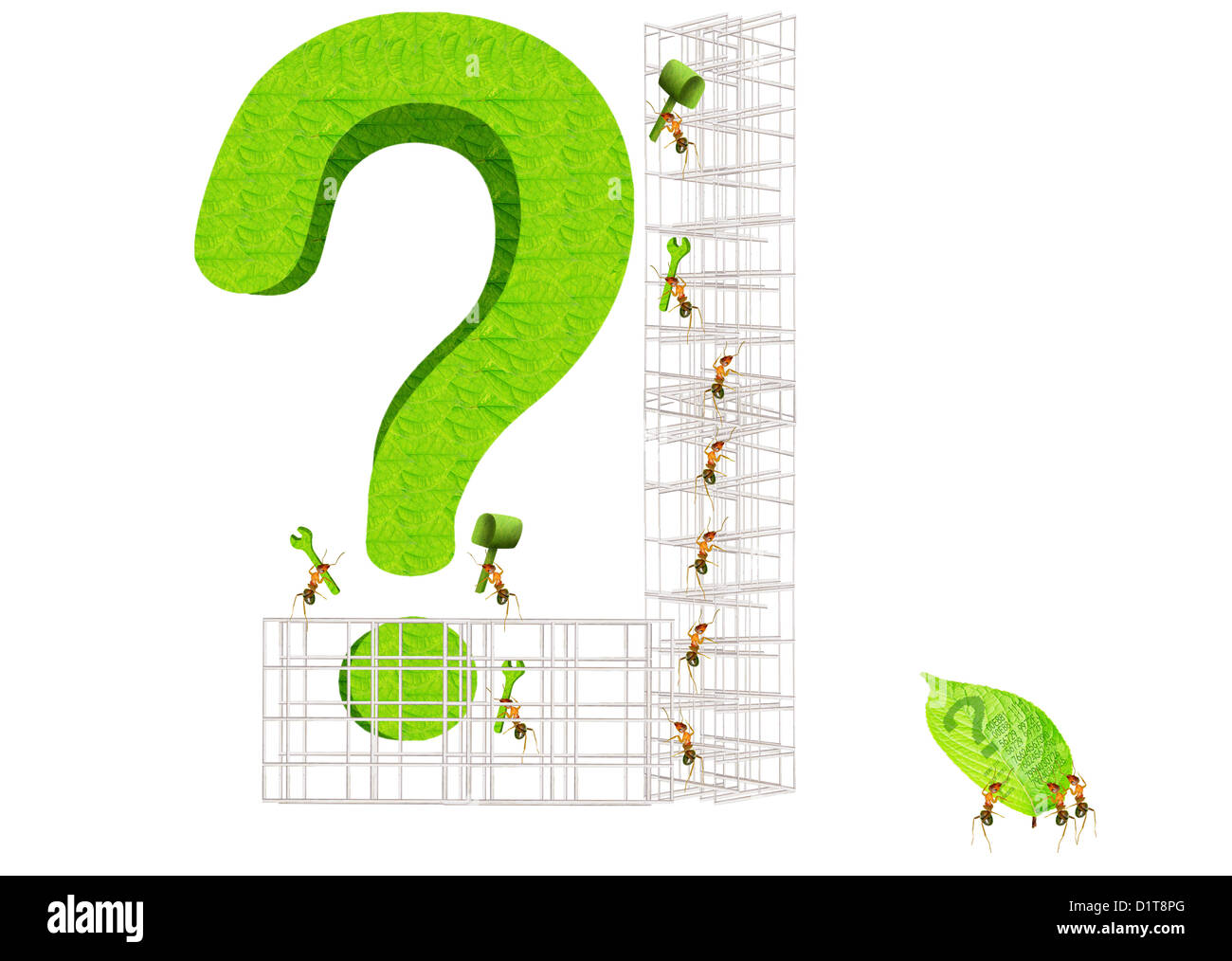 The ants build question mark Stock Photo - Alamy