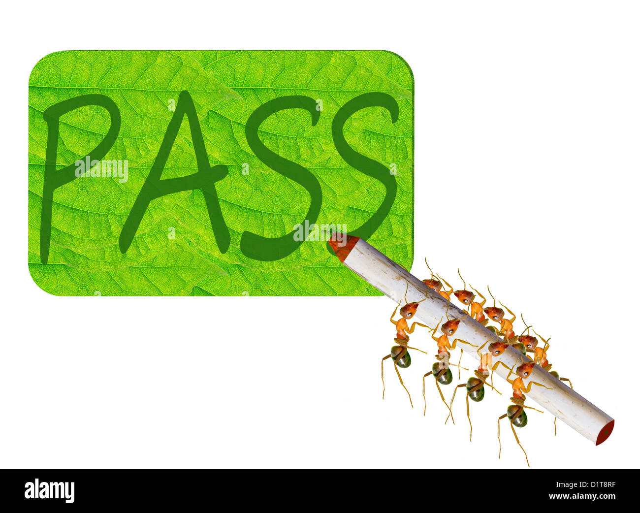 Promotional writing Cut Out Stock Images & Pictures - Alamy