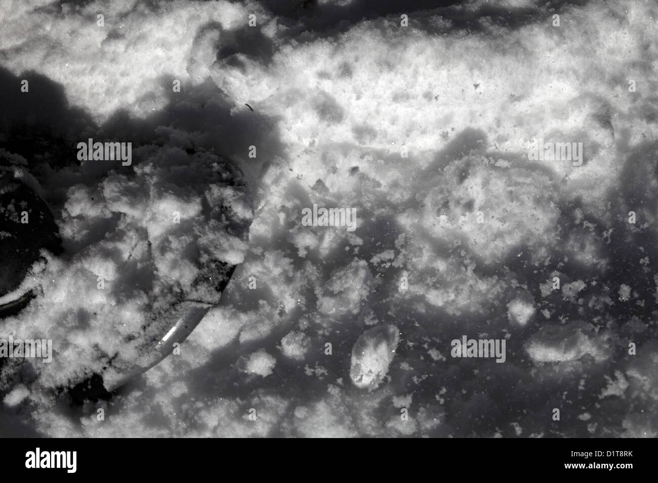 Snowshoe Snow High Resolution Stock Photography and Images - Alamy