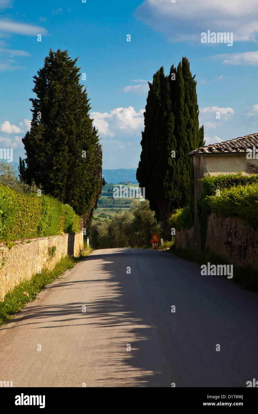 Europe, Italy, Tuscany. Tuscan Back road through Cypress Trees Stock ...